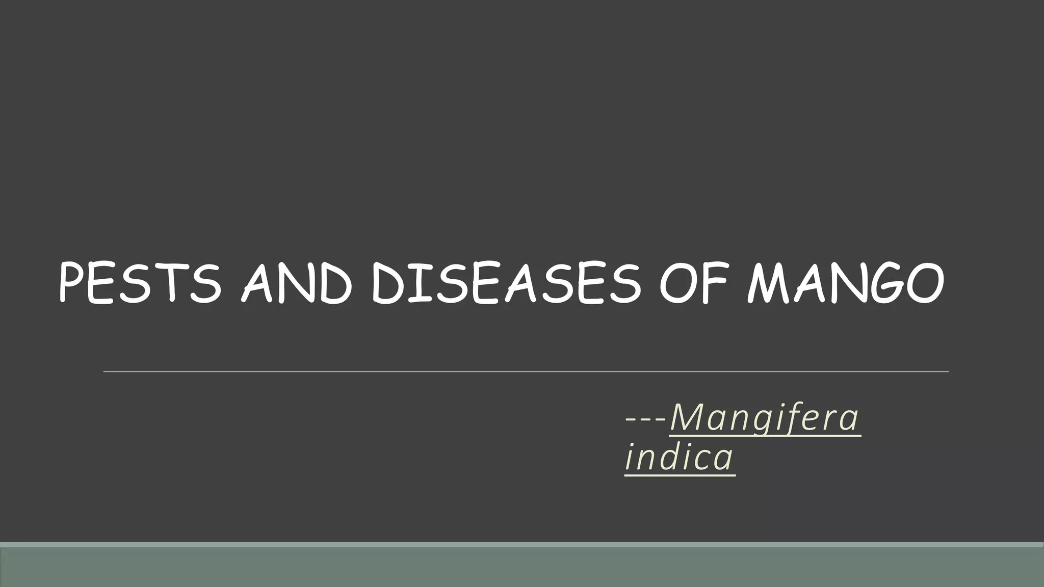 PESTS AND DISEASES OF MANGO Bharath.pptx