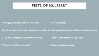 Pests and Diseases of Mulberry Pests and Diseases of Mulberry | PPTX