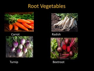 Pests and Diseases of Root Vegetables.pptx