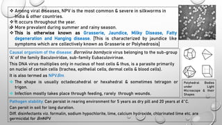 Pests and diseases of silkworm-pdf-03.6.2025.pdf
