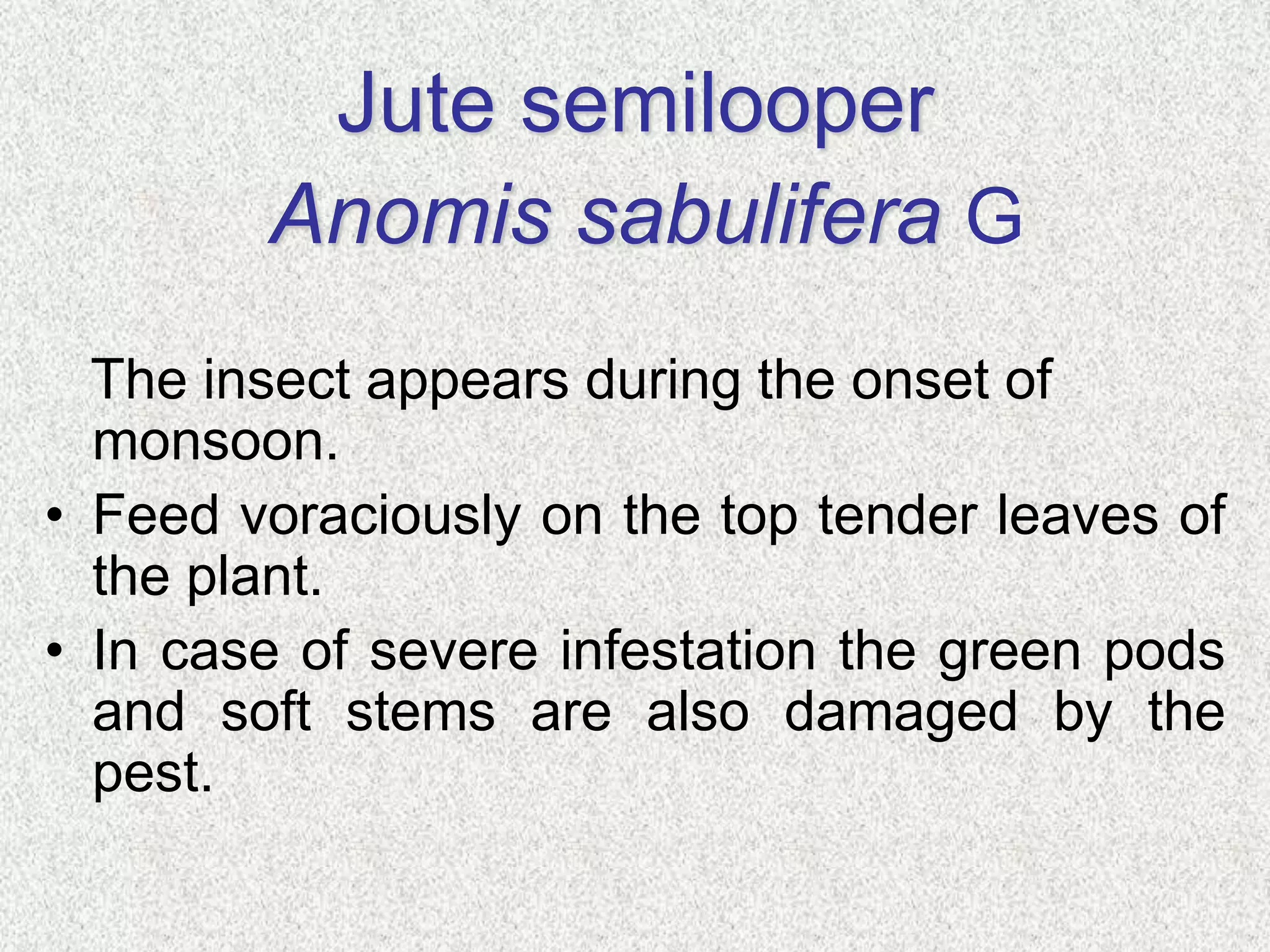 PESTS AND DISEASES OF JUTE.ppt