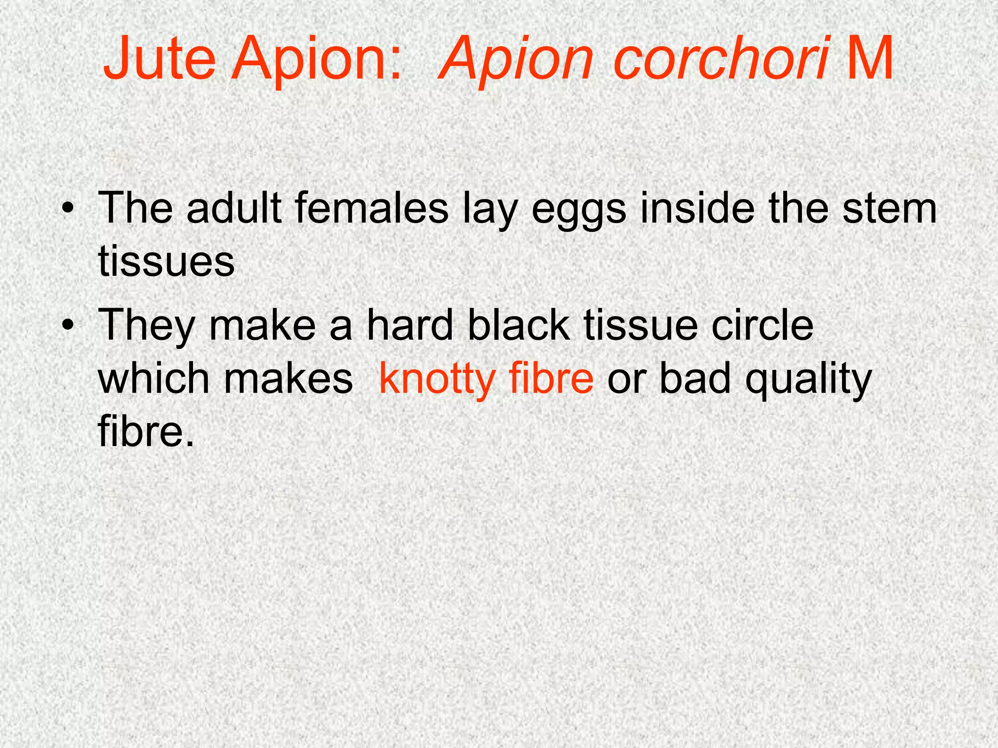 PESTS AND DISEASES OF JUTE.ppt