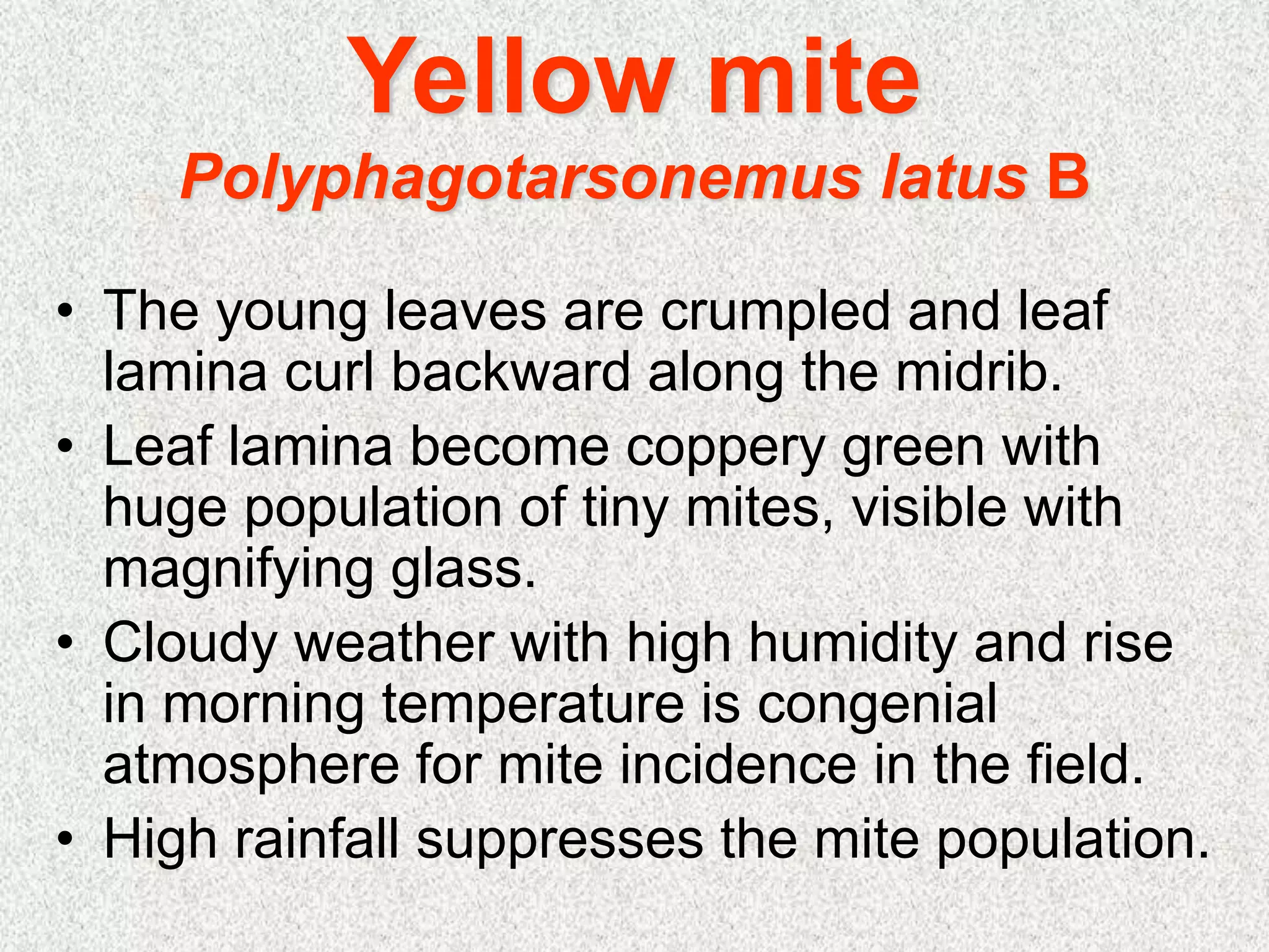 PESTS AND DISEASES OF JUTE.ppt