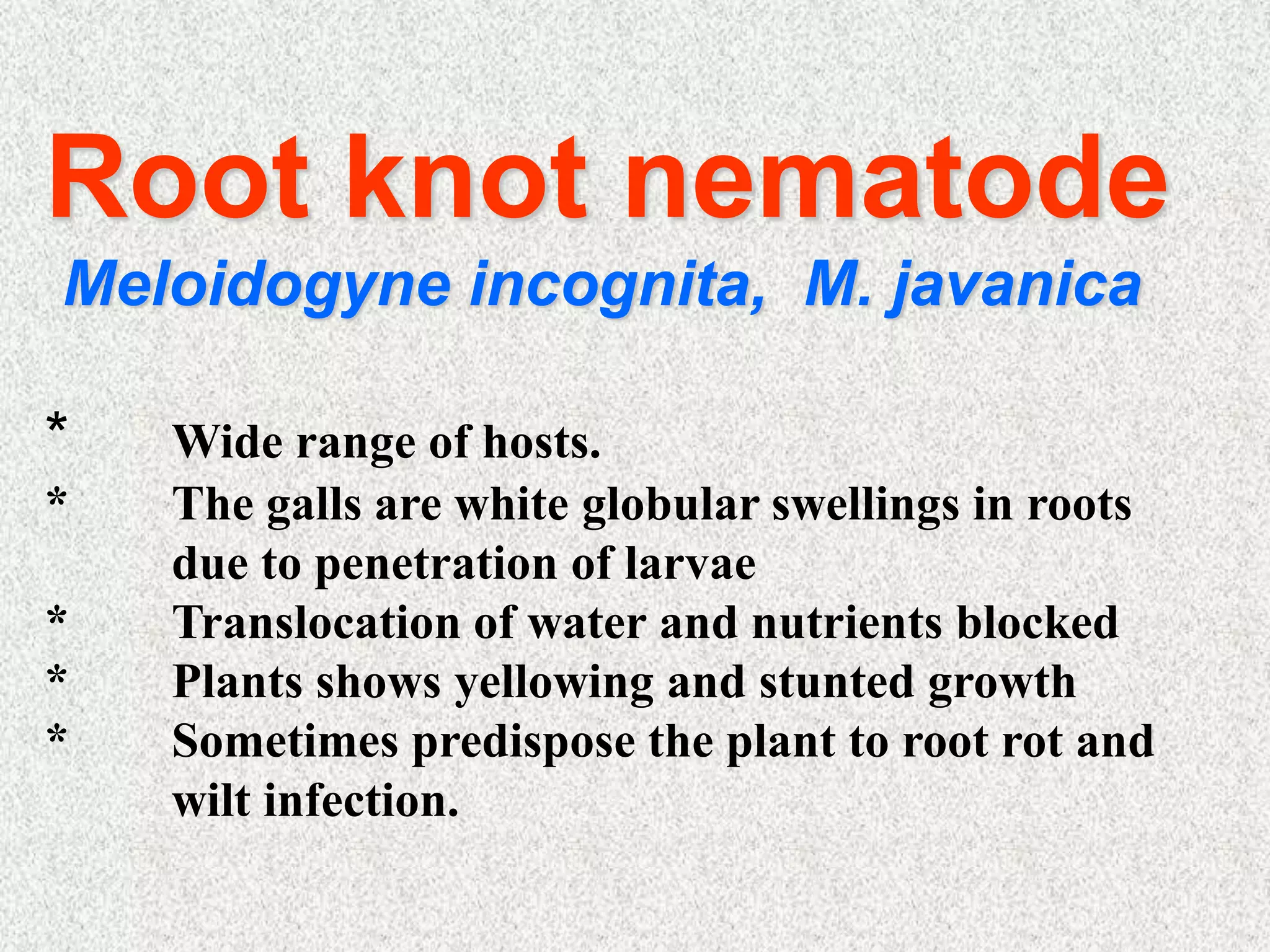 PESTS AND DISEASES OF JUTE.ppt