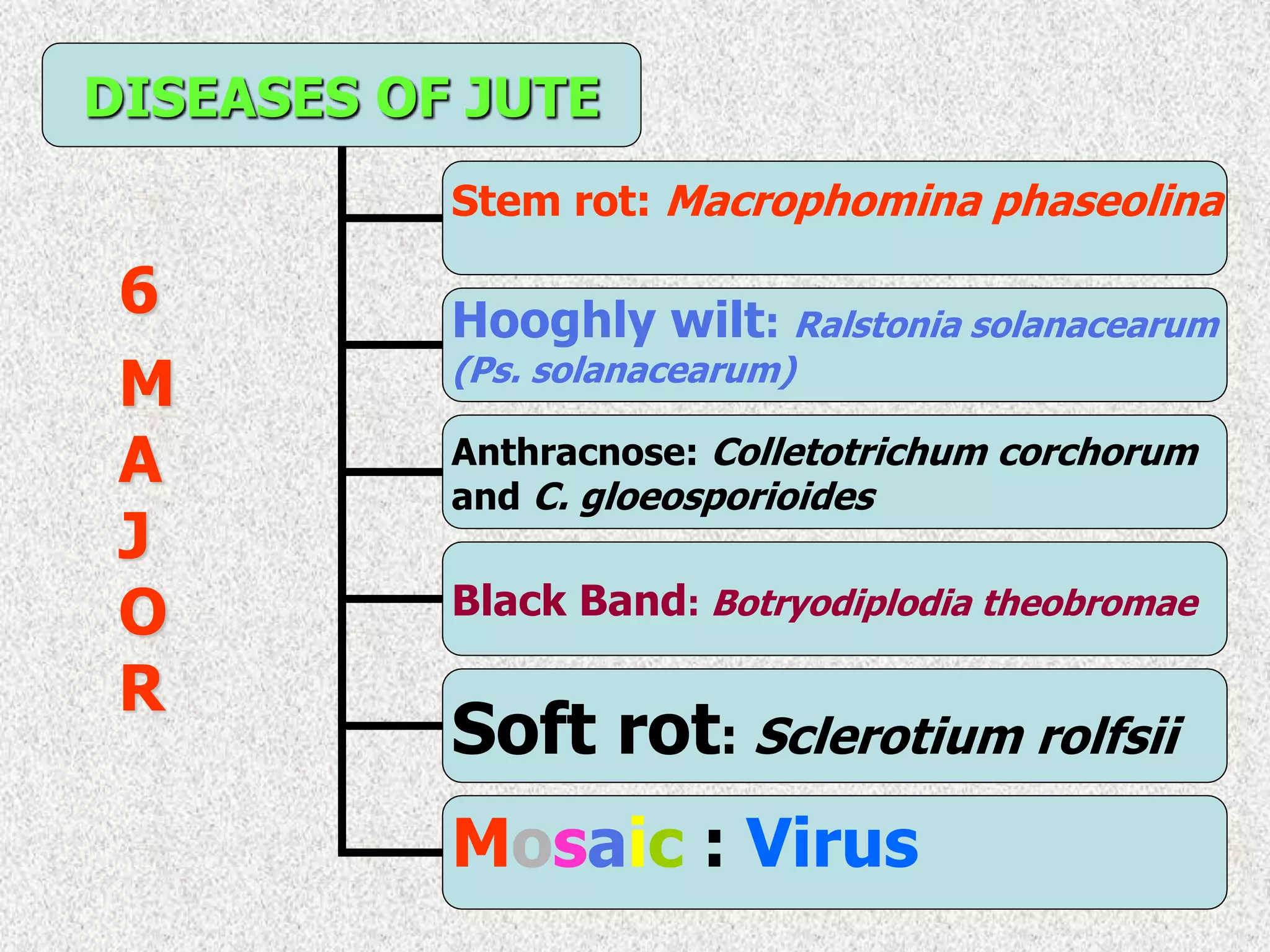 PESTS AND DISEASES OF JUTE.ppt
