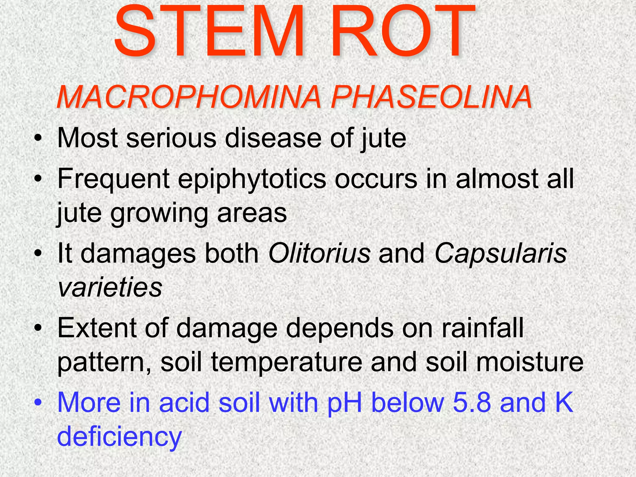 PESTS AND DISEASES OF JUTE.ppt