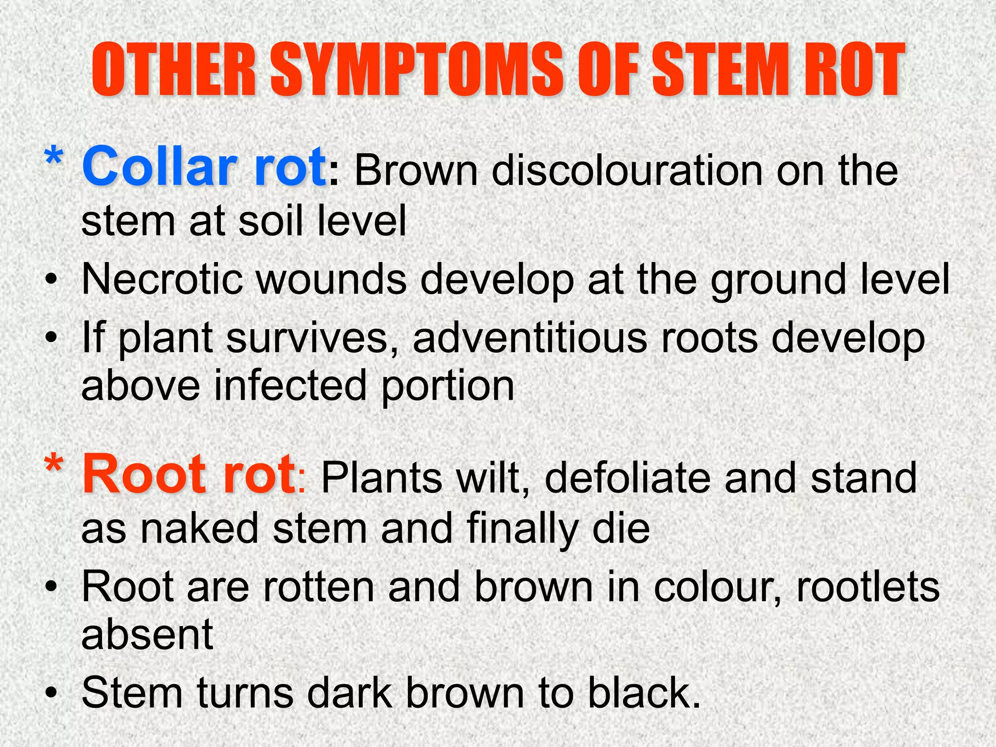 PESTS AND DISEASES OF JUTE.ppt