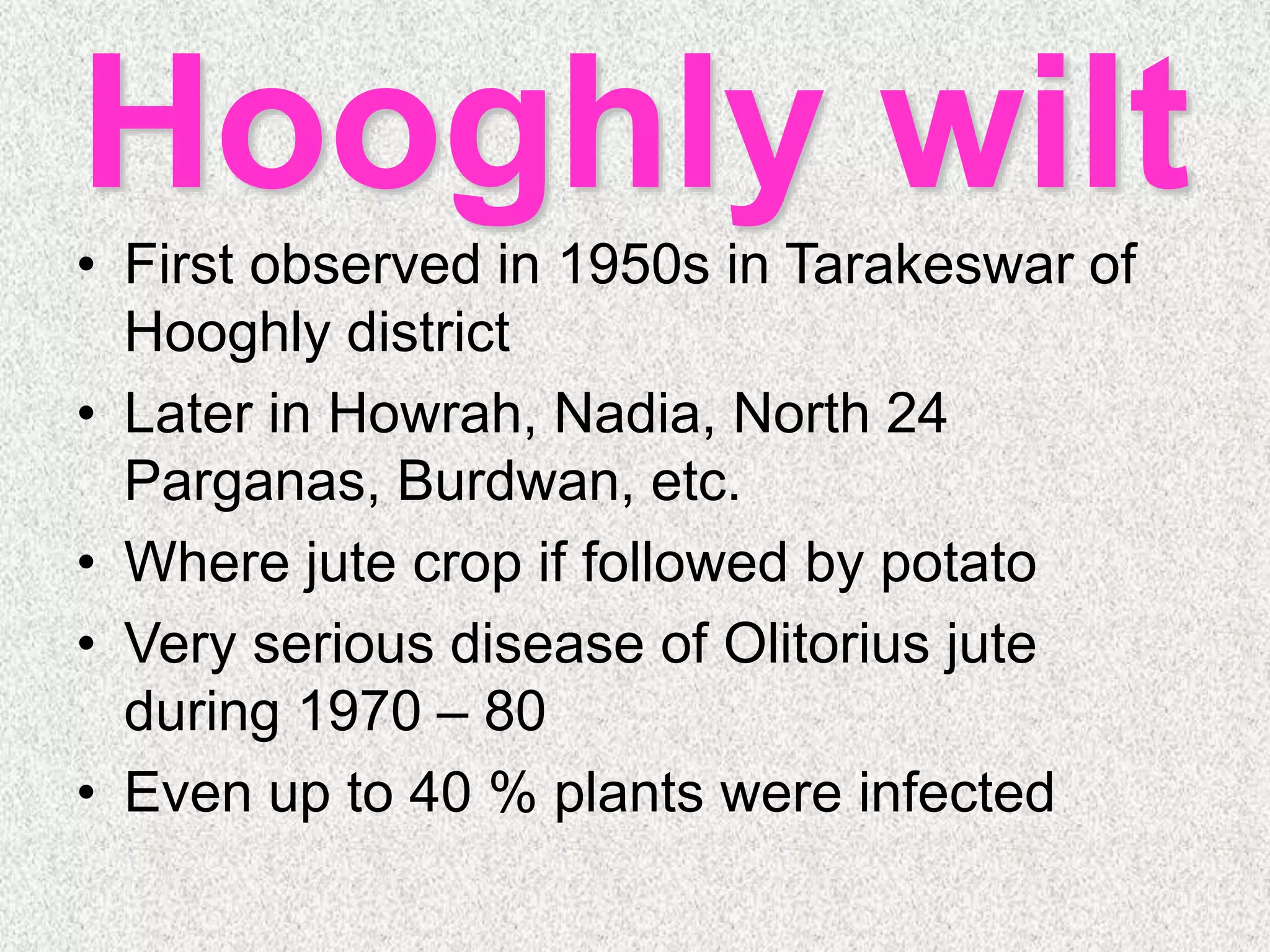 PESTS AND DISEASES OF JUTE.ppt