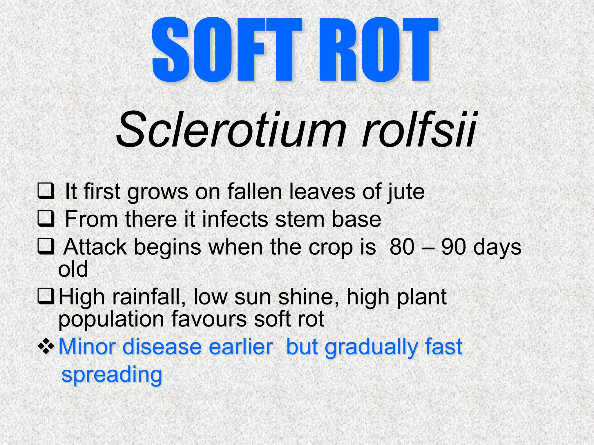 PESTS AND DISEASES OF JUTE.ppt