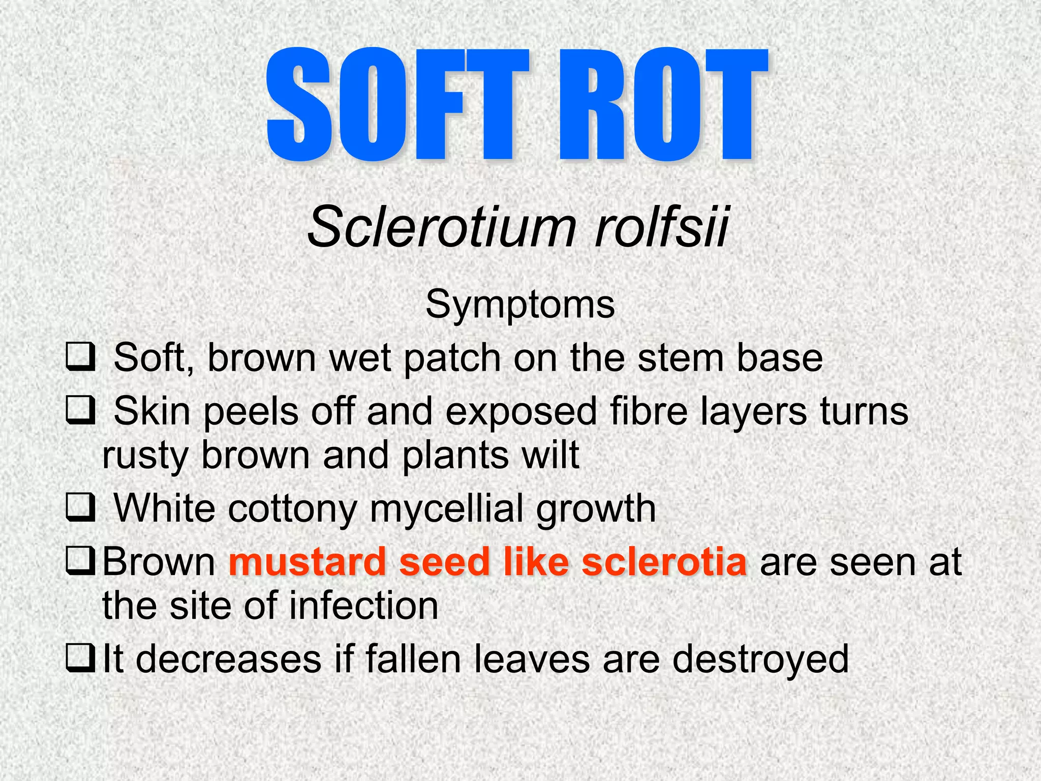 PESTS AND DISEASES OF JUTE.ppt