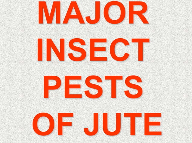 PESTS AND DISEASES OF JUTE.ppt
