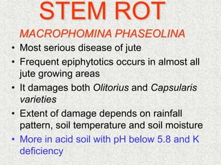 PESTS AND DISEASES OF JUTE.ppt