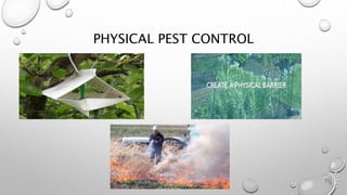 Pests and pests control av | PPT