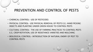 Pests and pests control av | PPT