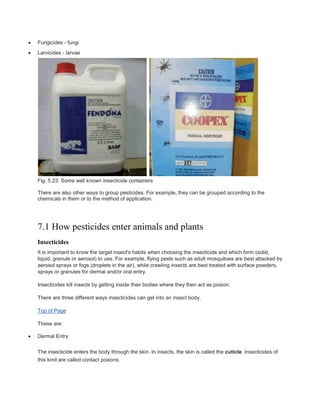 PESTS AND RODENTS.docx