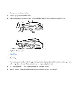 PESTS AND RODENTS.docx