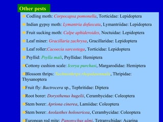 pests of apple important pest in apple in entomology | PPT