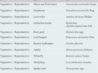 Pests of brinjal, tomato and their management | PPTX
