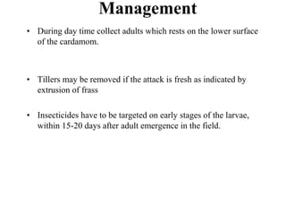 Pests of Cardamom.ppt