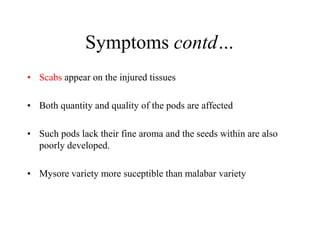 Pests of Cardamom.ppt