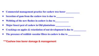 Pests of Cashew & their management .pptx