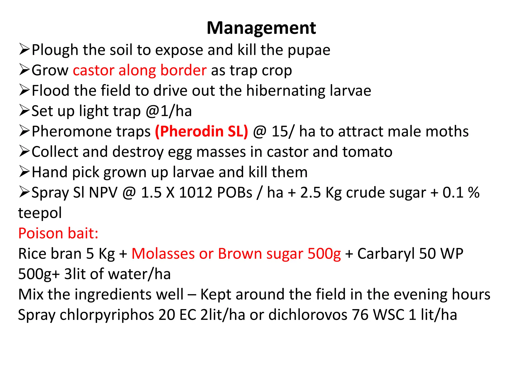 Pests of cole crops.pptx