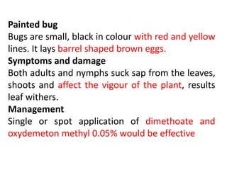 Pests of cole crops.pptx