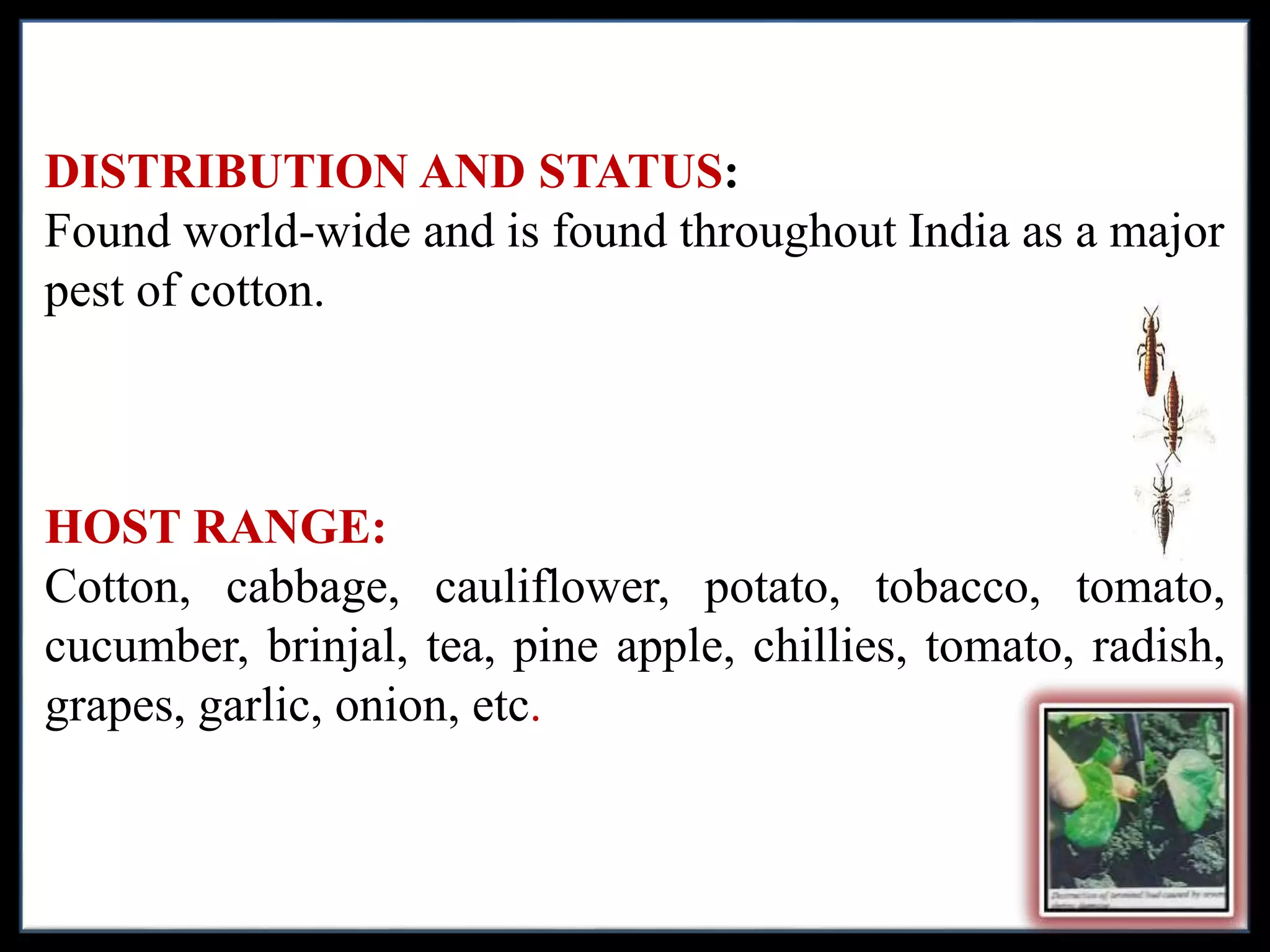 Pests of cotton and their management | PPTX