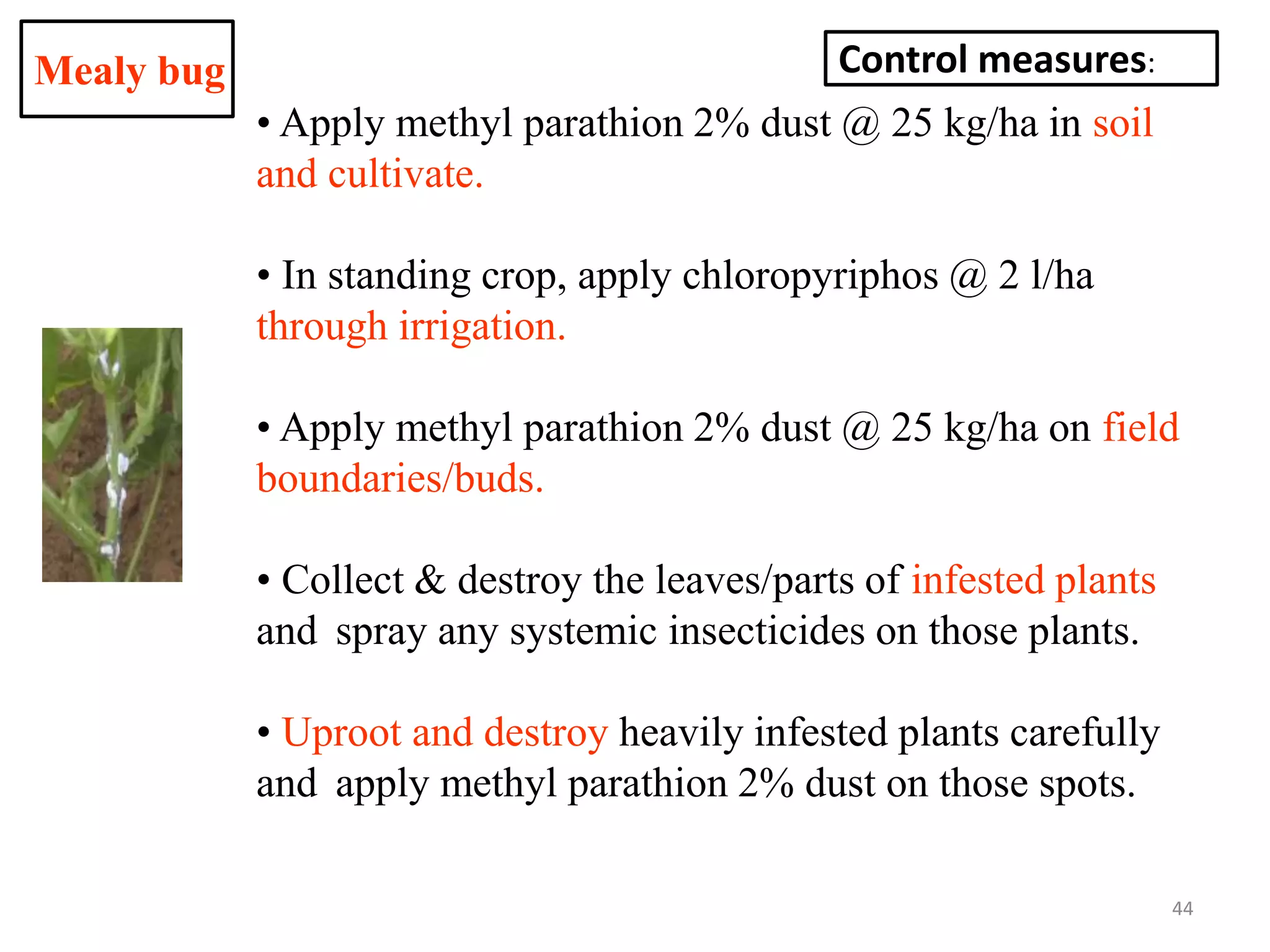 Pests of cotton and their management | PPTX