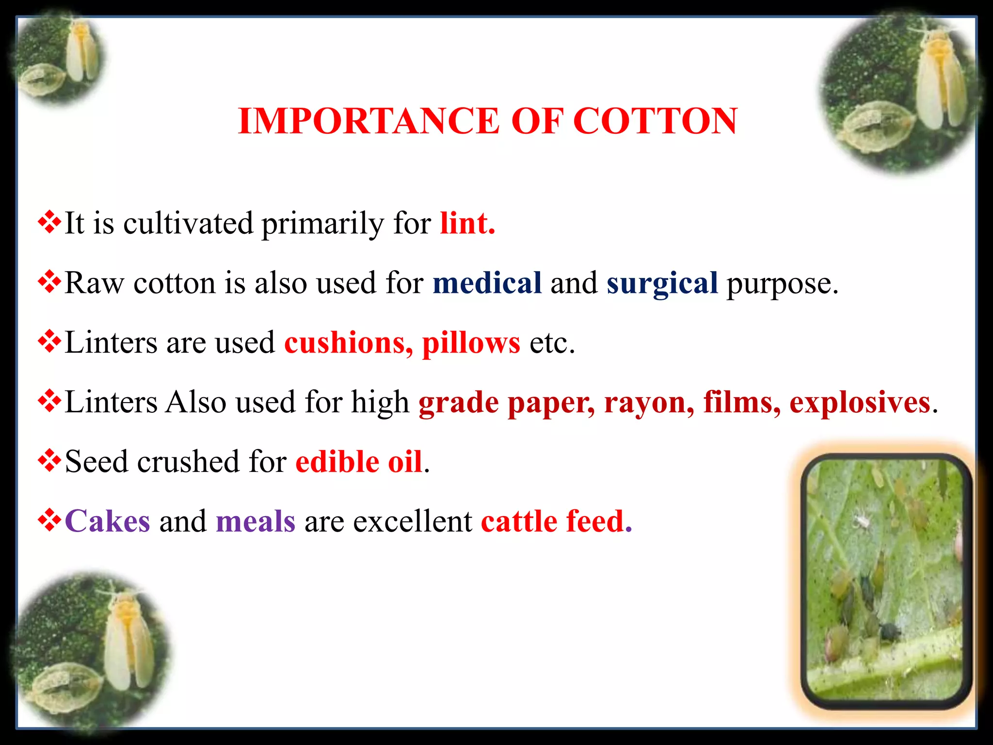 Pests of cotton and their management | PPTX