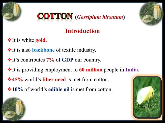 Pests of cotton and their management | PPTX