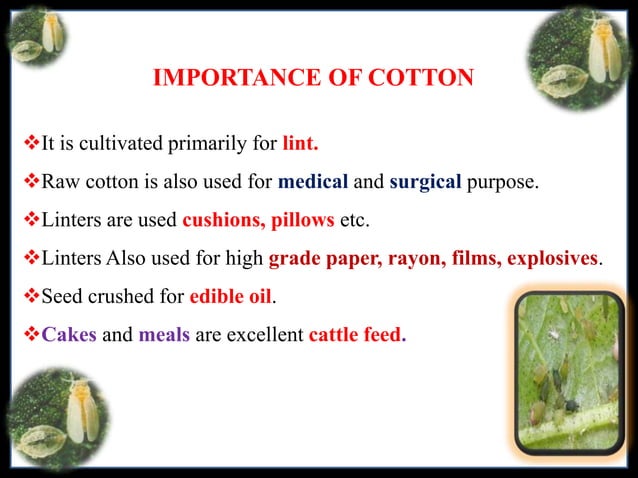 Pests of cotton and their management | PPTX