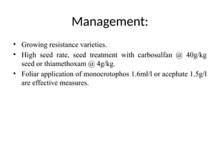 Important major Pests of cowpea and their management.pptx