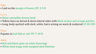 Pests of Green manures daincha,sunhemp.pptx | Gardening | Home & Garden