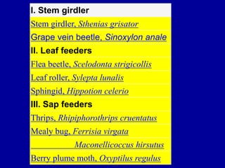 pests of grapes.pptx