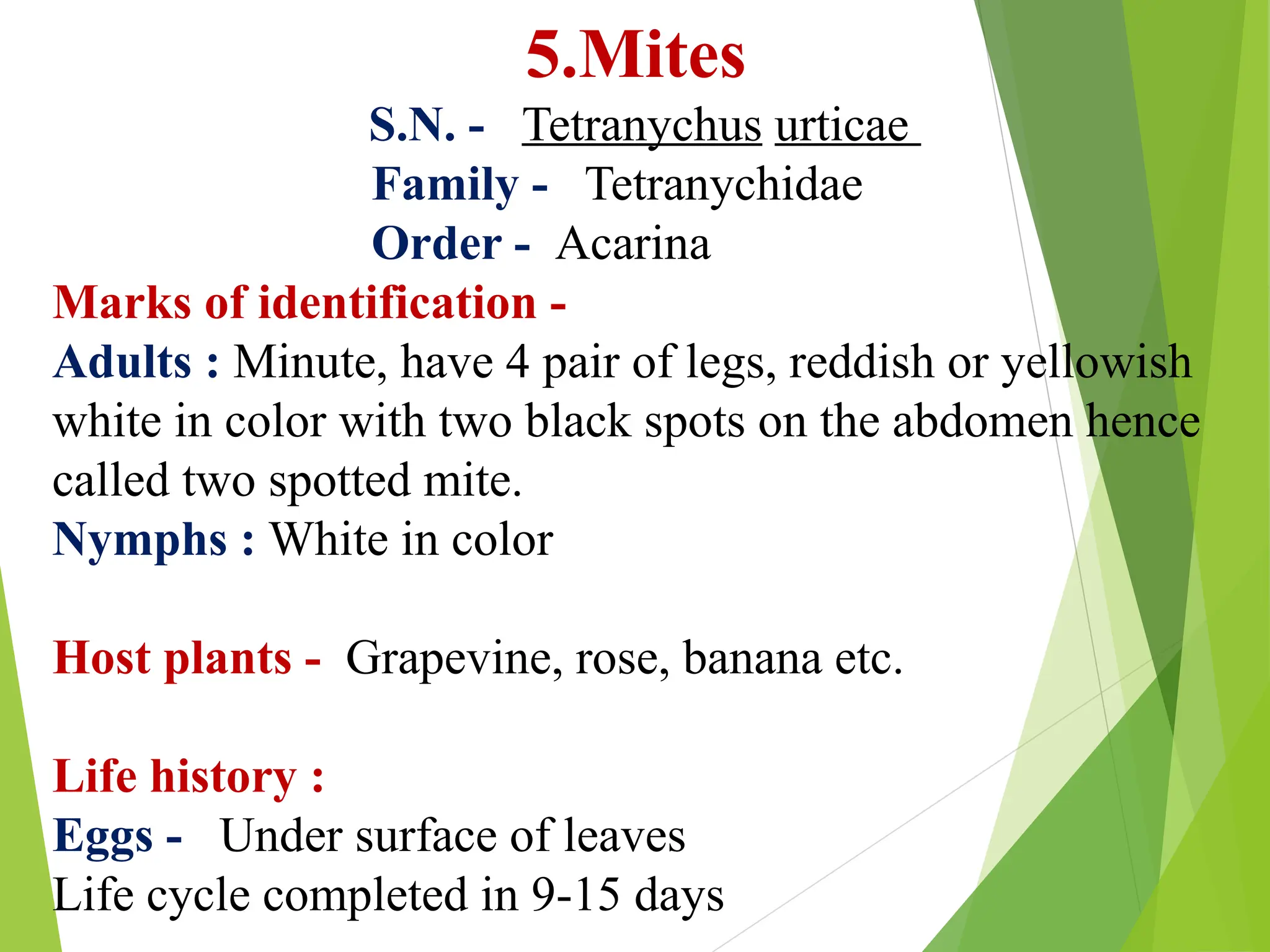 Pests of Grapevine, Damage Symptoms and Management Practices | PPTX
