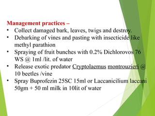 Pests of Grapevine, Damage Symptoms and Management Practices | PPTX