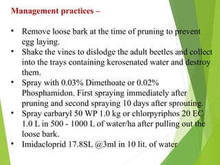 Pests of Grapevine, Damage Symptoms and Management Practices | PPTX