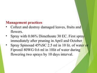 Pests of Grapevine, Damage Symptoms and Management Practices | PPTX