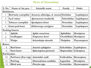 Pests of groundnut and their description.pptx