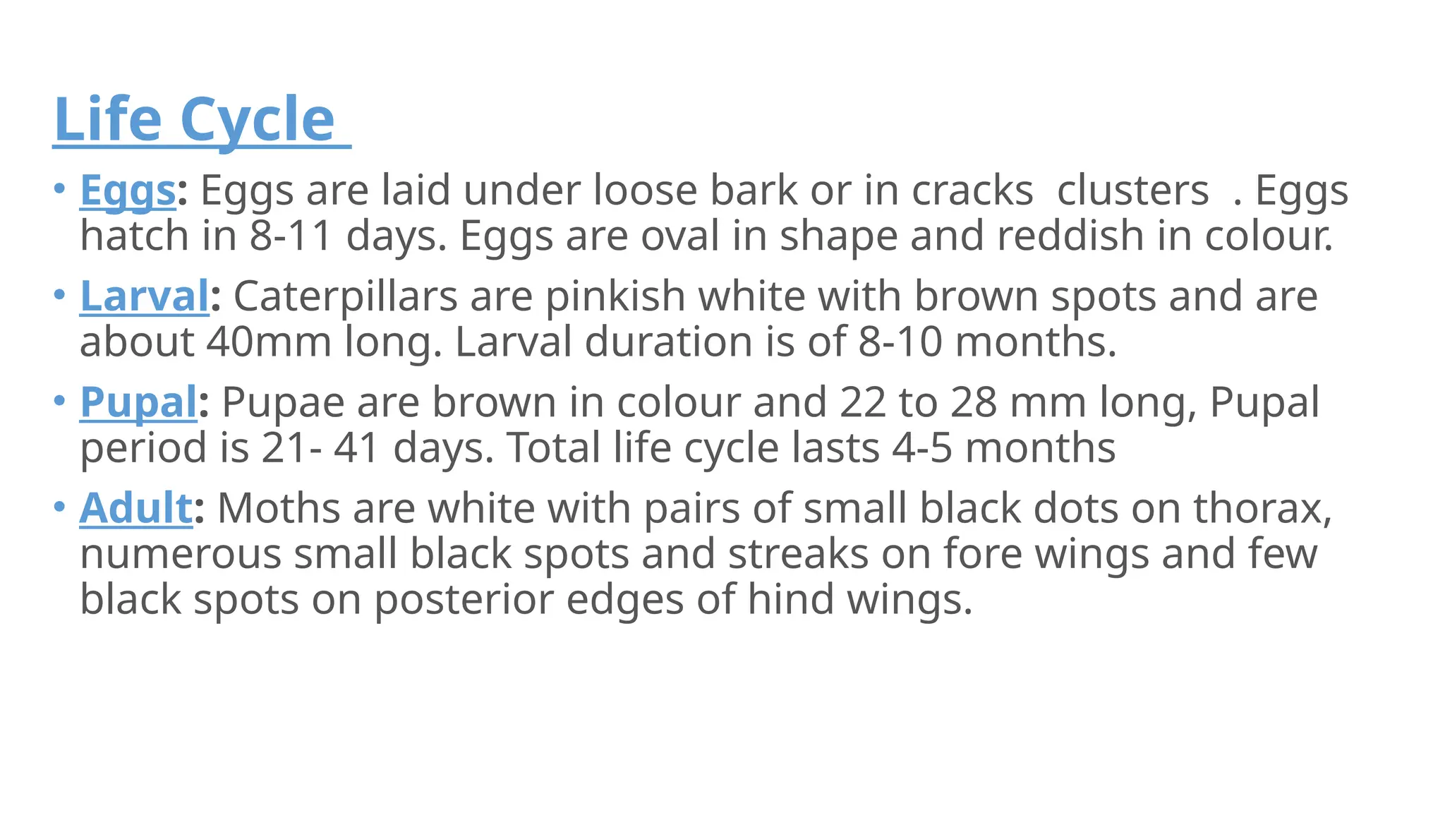 Pests of Guava (life cycle ,damage symptoms,management) | PPTX