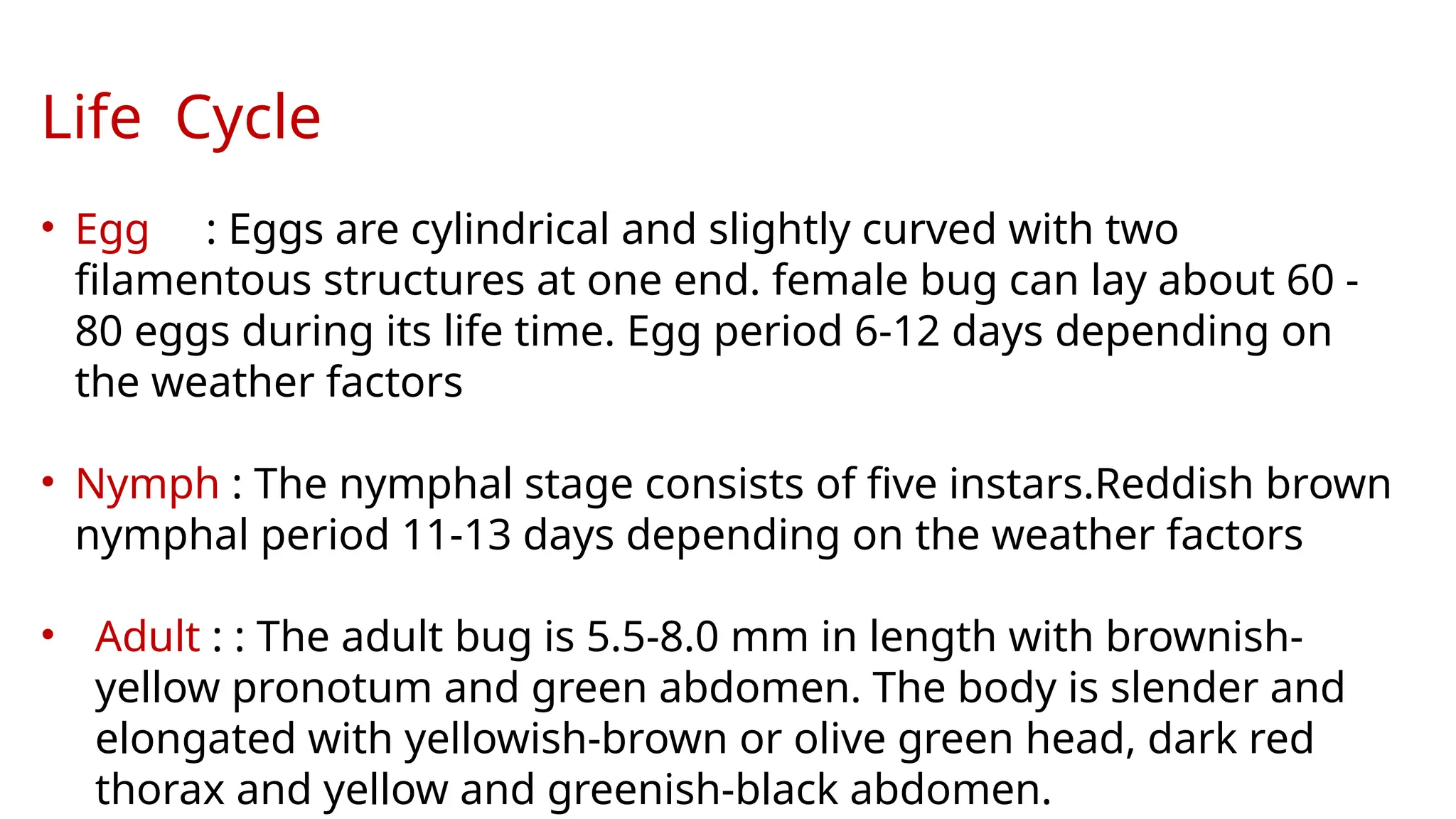 Pests of Guava (life cycle ,damage symptoms,management) | PPTX