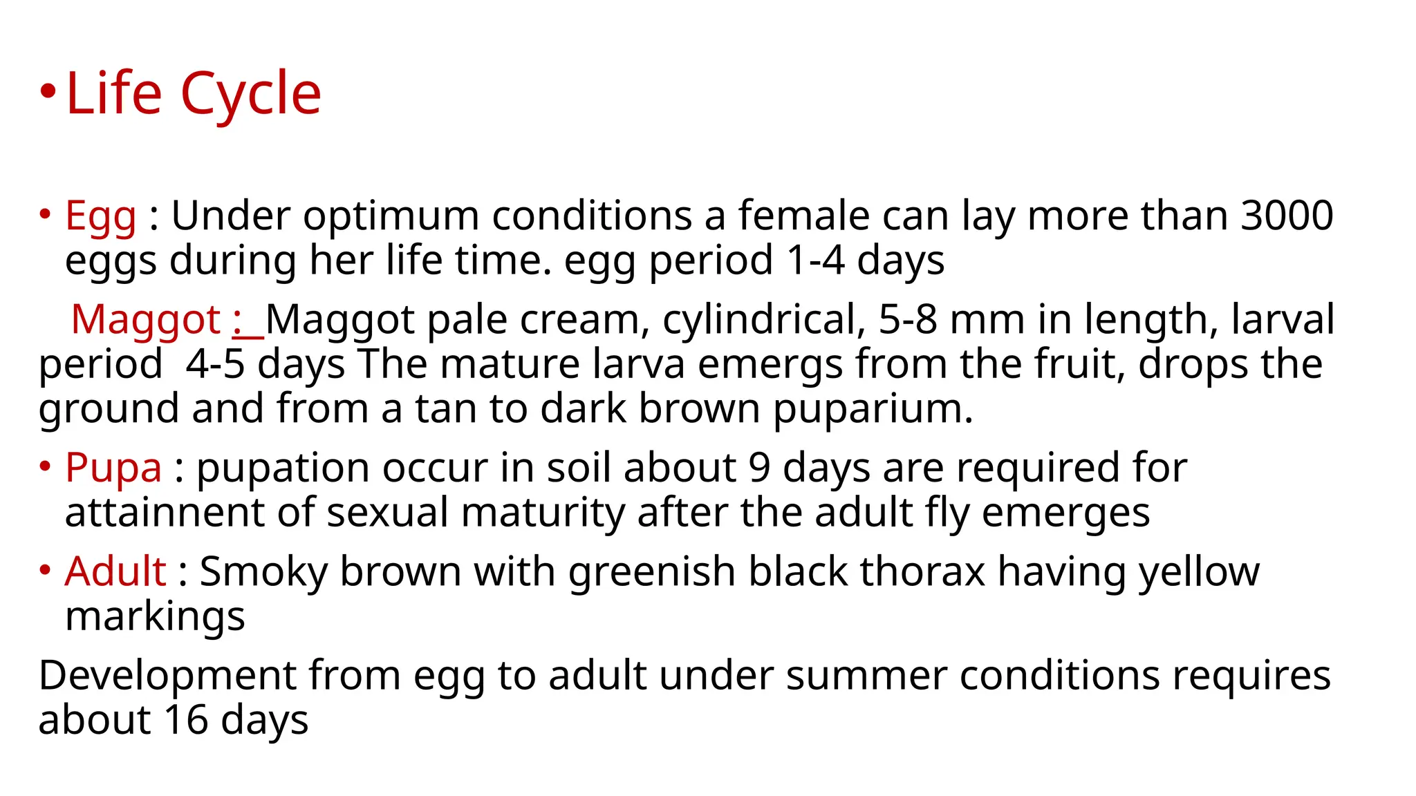 Pests of Guava (life cycle ,damage symptoms,management) | PPTX ...