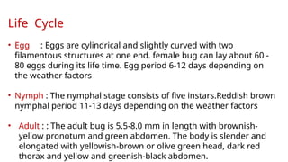 Pests of Guava (life cycle ,damage symptoms,management) | PPTX ...