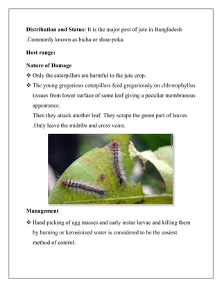 Pests of jute and ornamental plants | PDF