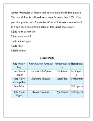 Pests of jute and ornamental plants | PDF