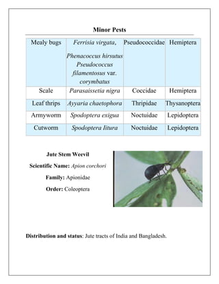 Pests of jute and ornamental plants | PDF