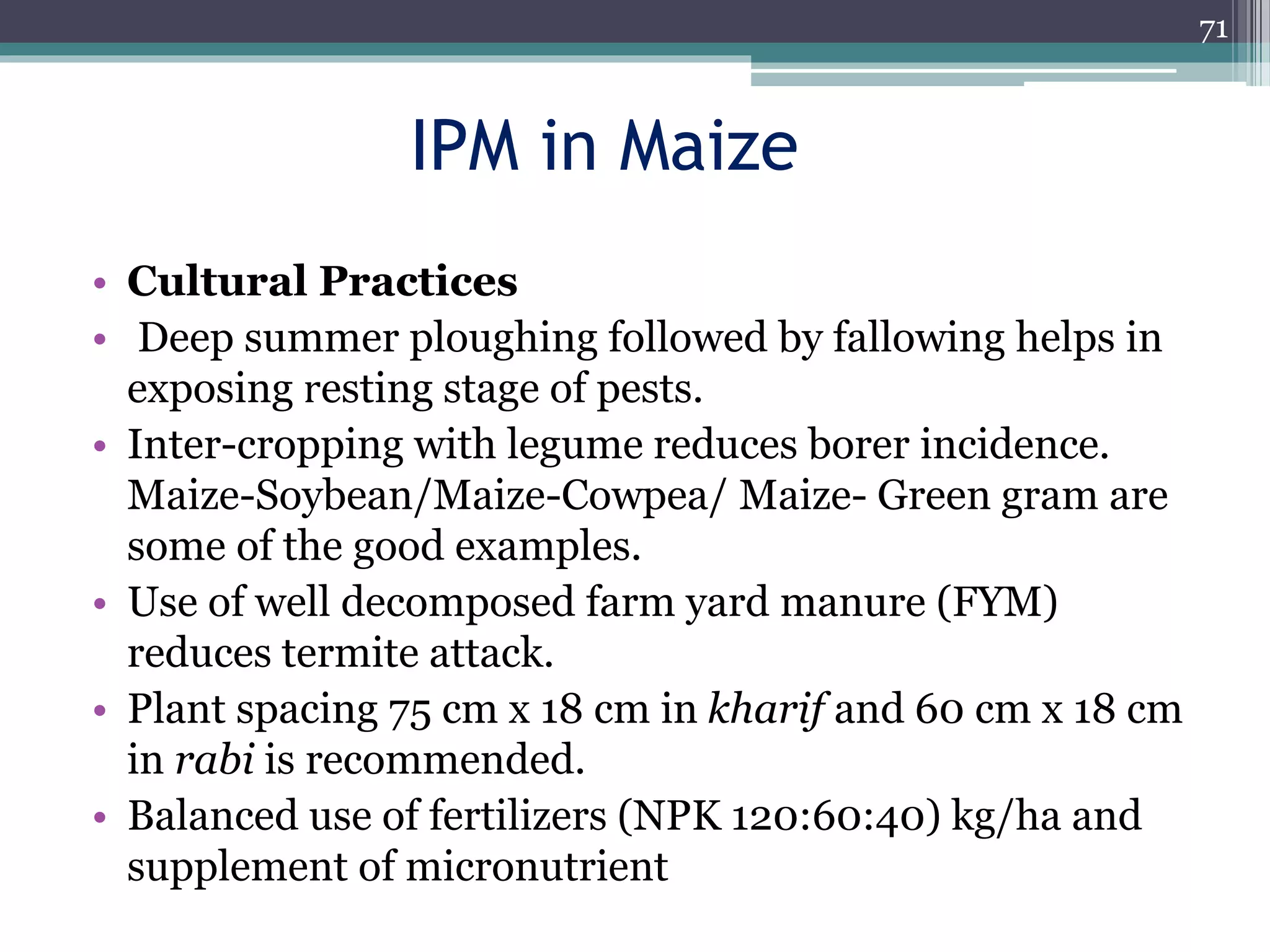 Pests of maize | PPTX