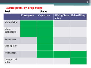 Pests of maize | PPTX