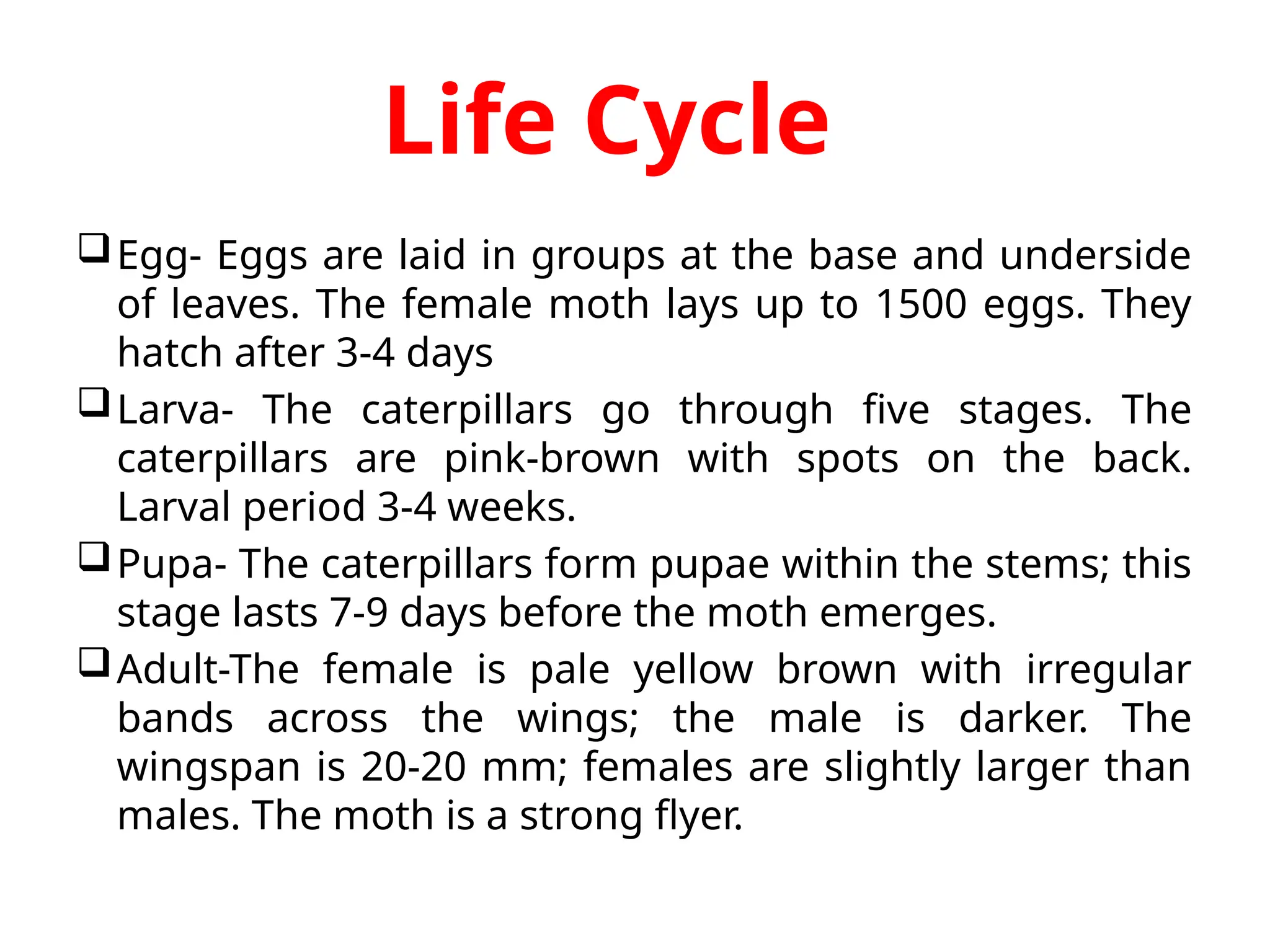 Pests of maize , life cycle and their management | PPTX